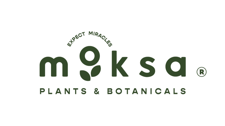 Buy Hemp, Tea, Superfoods, Botanical Flowers Tea from Moksa